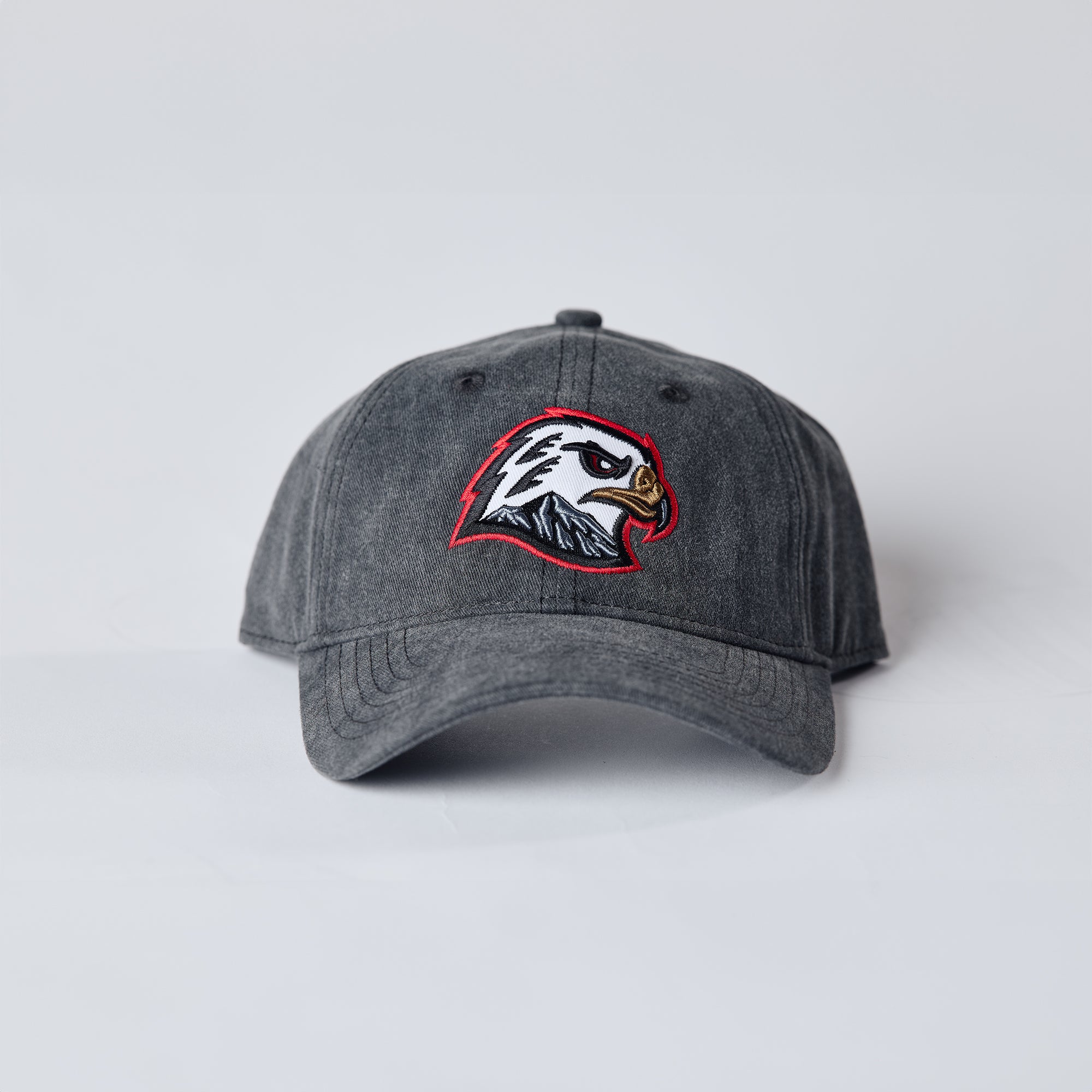 Winterhawks Team Shop | Hawk Head Dad Hat - Black/Black